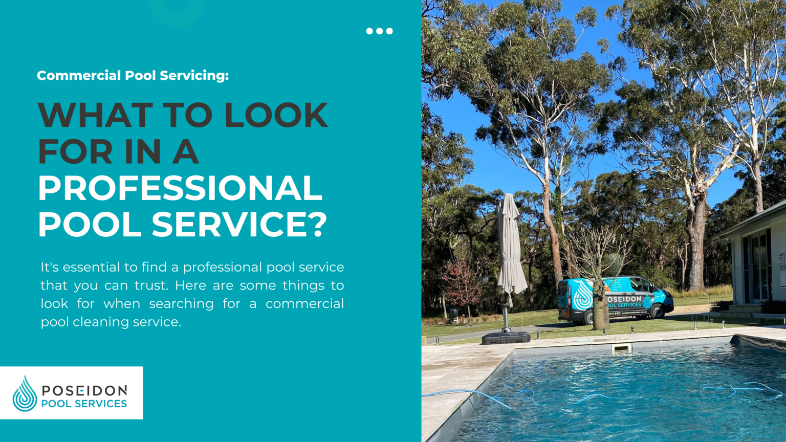What To Look For In A Professional Pool Service? - Poseidon